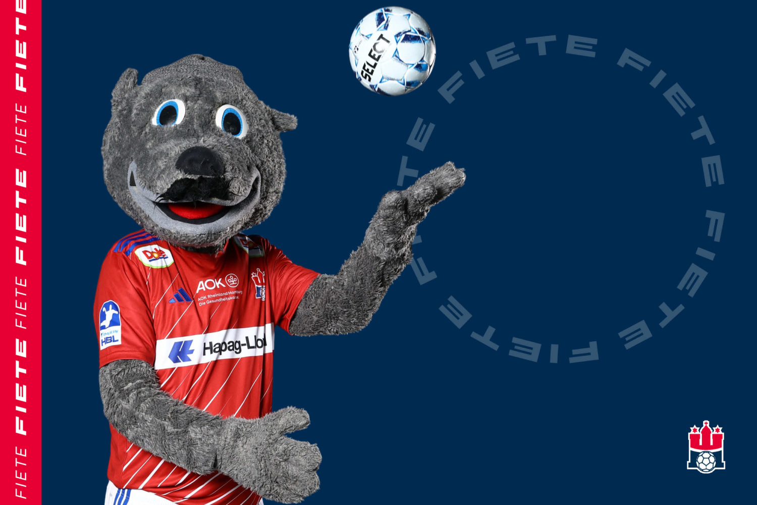 Handball Sport Verein Hamburg | Offizielle Website | hamburg-handball.de
